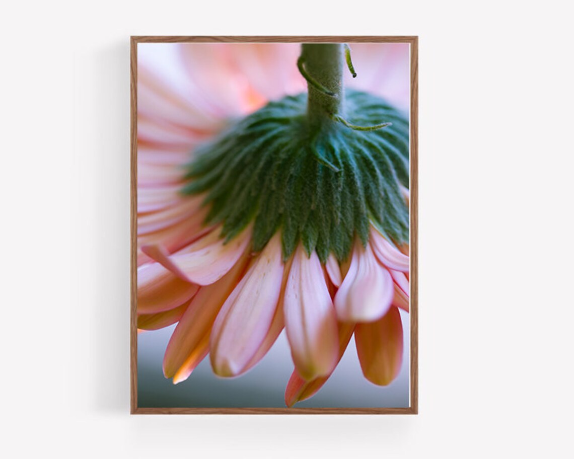 Pink Flower Printable, Floral Printable Art, Romantic Wall Art ...