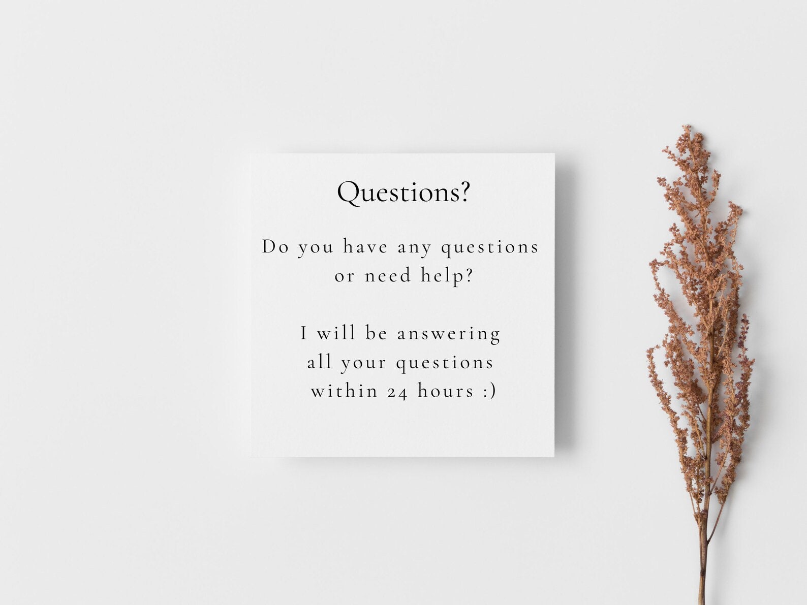 Professional UGC Creator Price List, UGC Price List, UGC Template, User ...