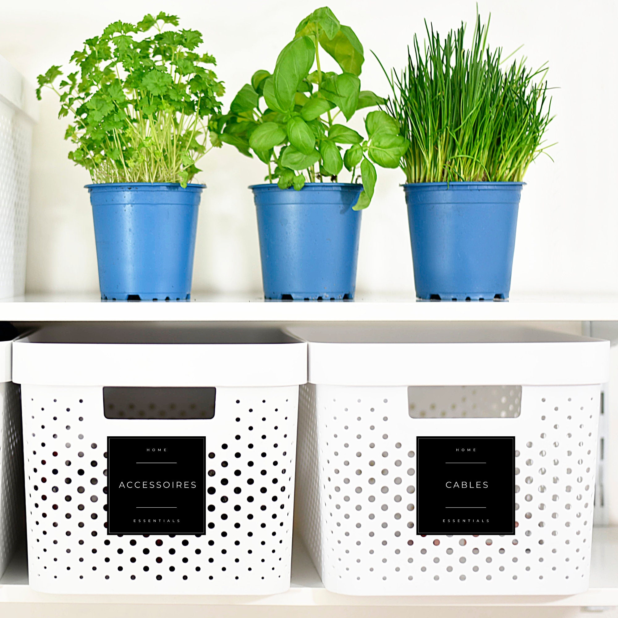 Printable Home Essentials Labels: Organize Your Space Household Labels ...