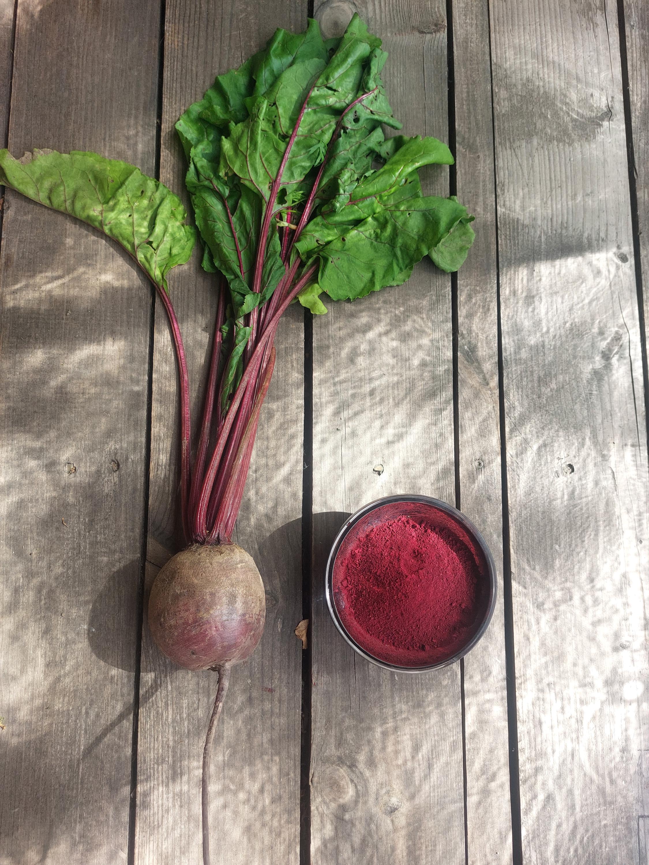 Dried Premium Beetroot Powder, Beta Vulgaris, Great for Work Out, Pre ...