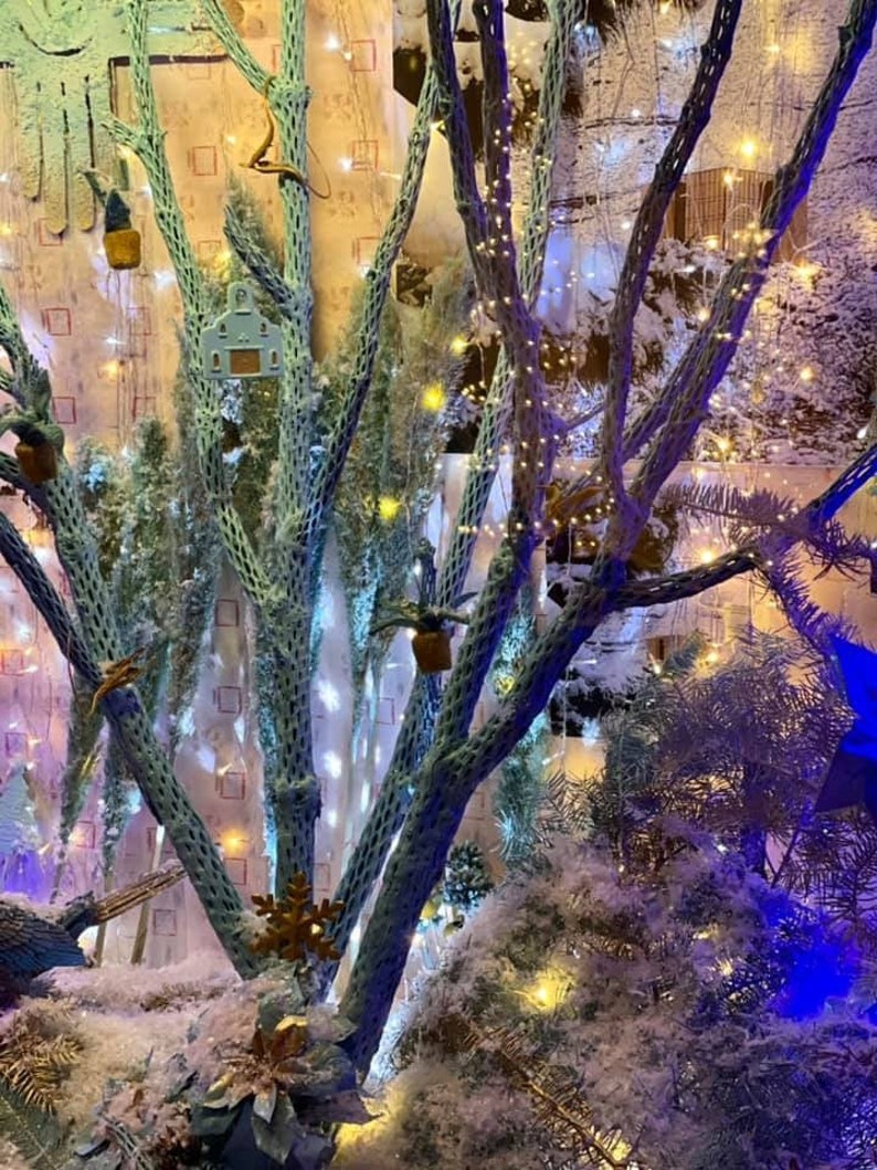 Cholla Cactus Art Desert Cactus Cholla Cactus Skeleton Art - Etsy