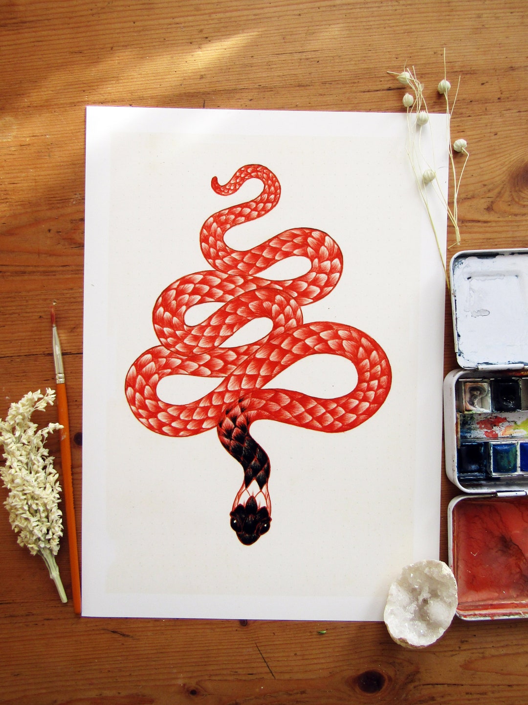 Red Snake, Water-colour and Pen, Art Print. - Etsy