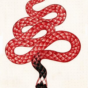 Red Snake, Water-colour and Pen, Art Print. - Etsy