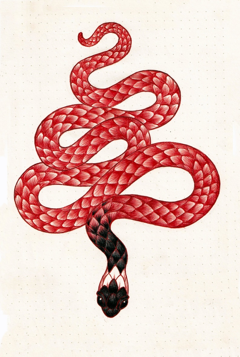 Red Snake, Water-colour and Pen, Art Print. - Etsy