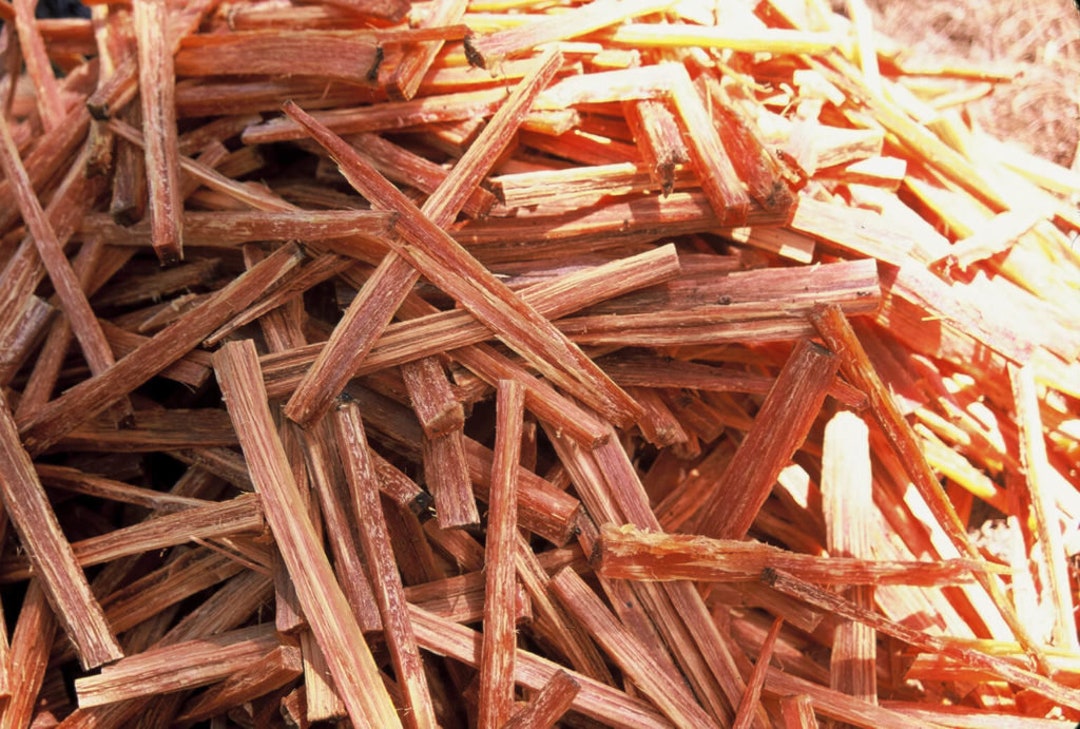 5 Pounds of Natural Pine Resin Fat Lighter/fat Wood Fire Starter ...