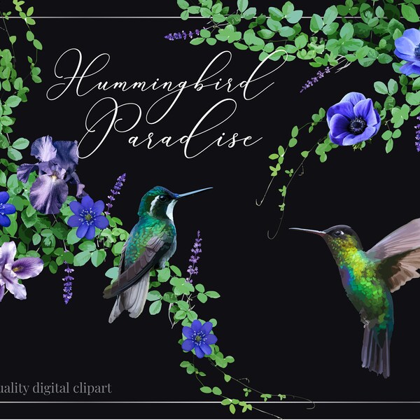Flower Hummingbird Border Clipart - Etsy