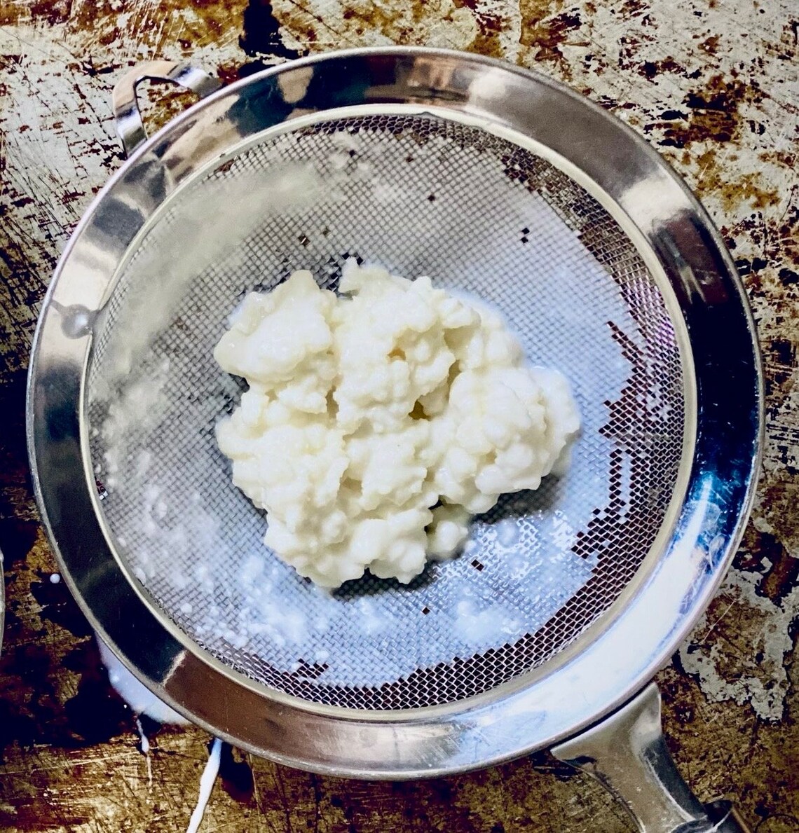 Organic Kefir Grains, Live Fresh Milk Kefir Grains With All ...