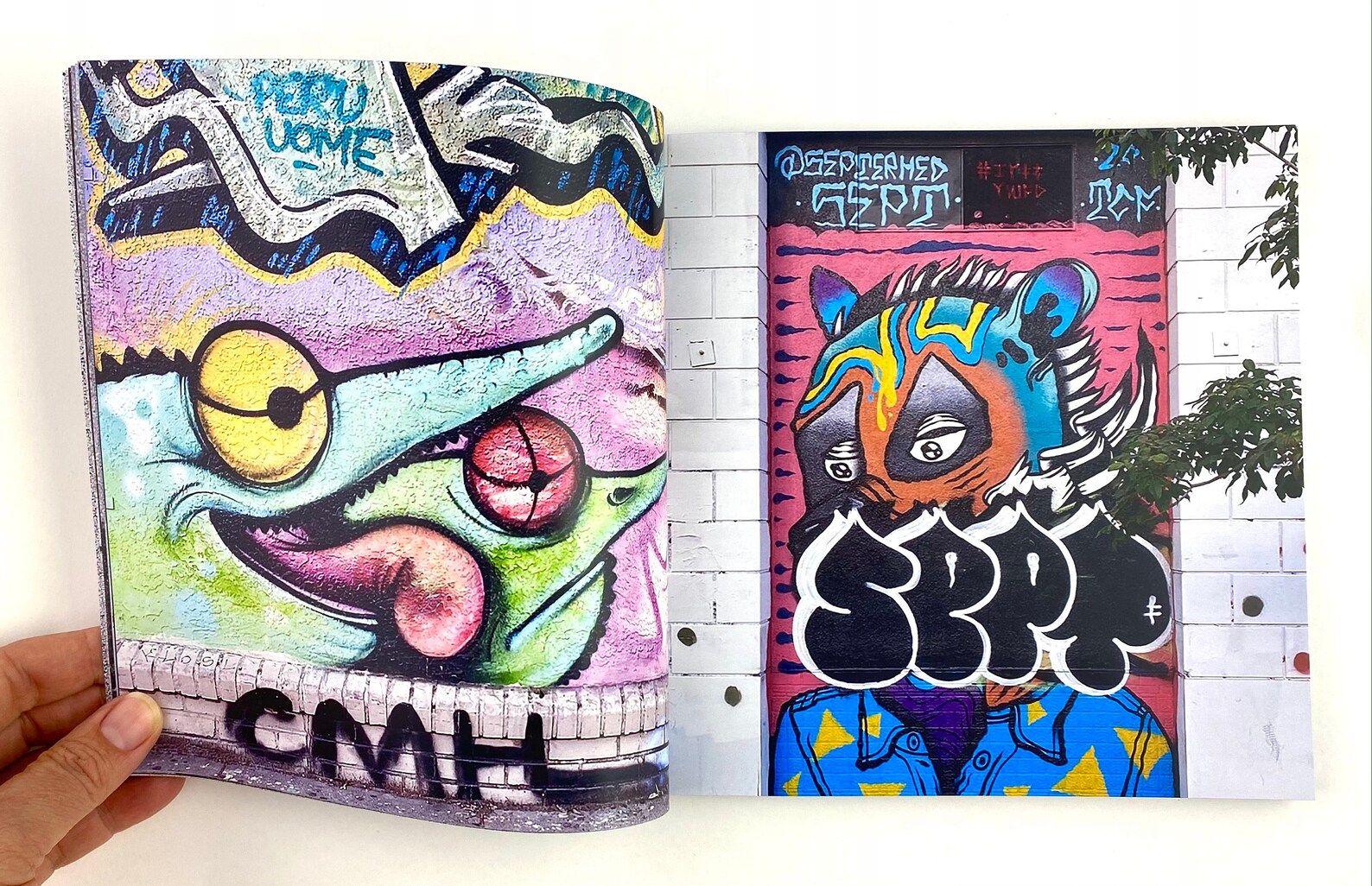 LA Street Art 1 Libros de Graffiti Murales Libros de Arte - Etsy España