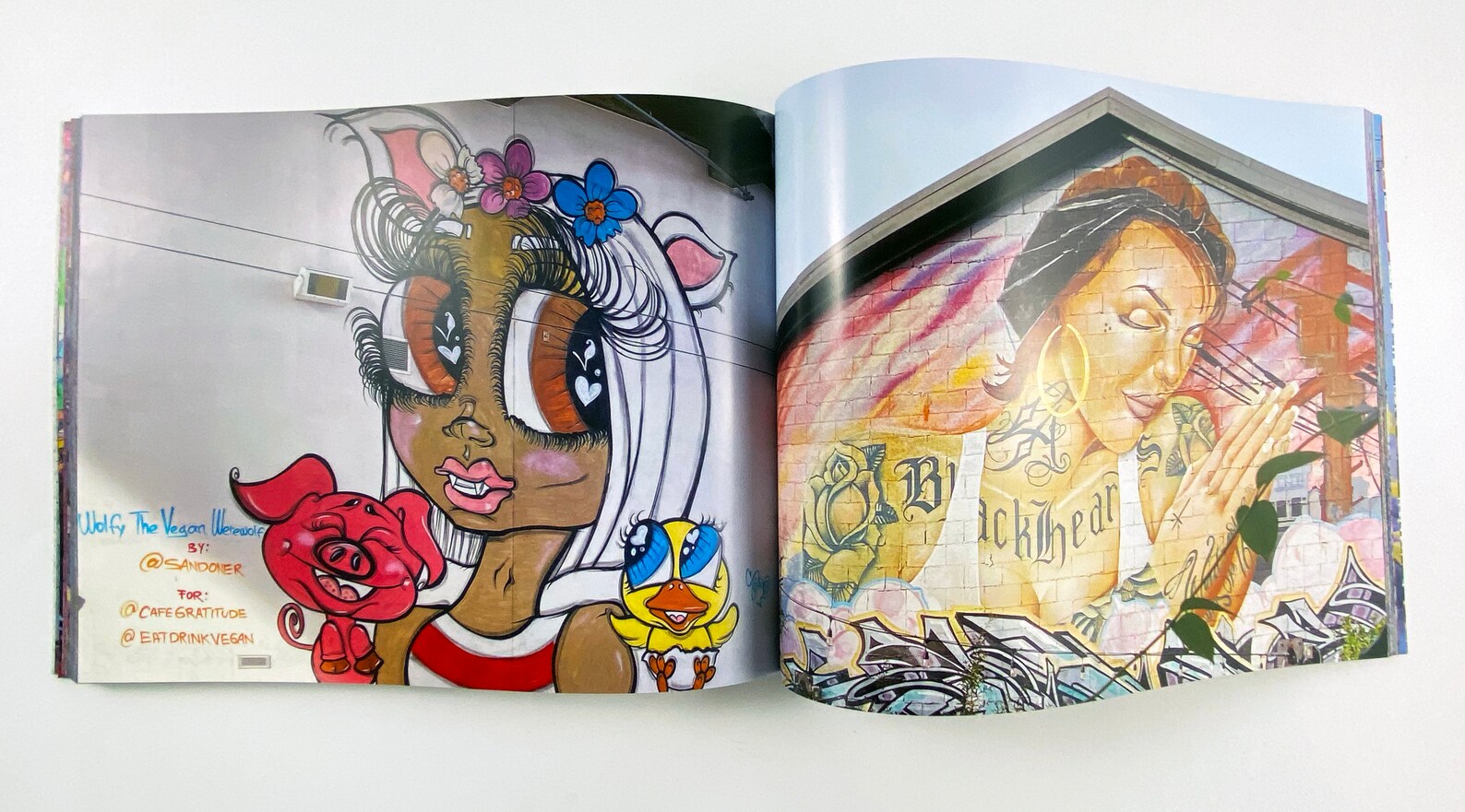 Graffiti Books, Murals, LA Street Art, Street Art Books, Photography ...