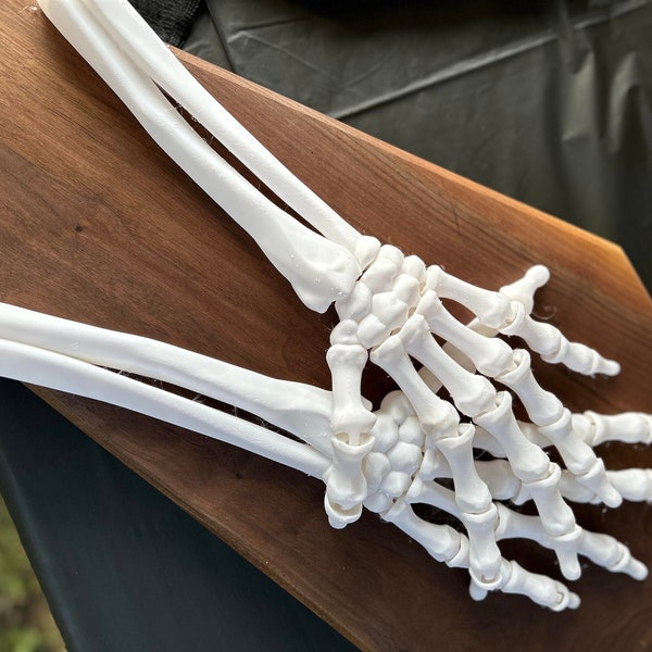 Giant Skeleton Hand - Etsy