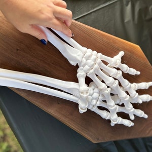 Xl Flexi Skeleton Hand - Etsy