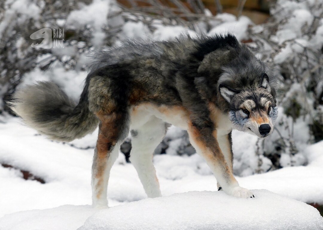 Miniature Realistic Wolf Poseable One of a Kind Art Doll - Etsy