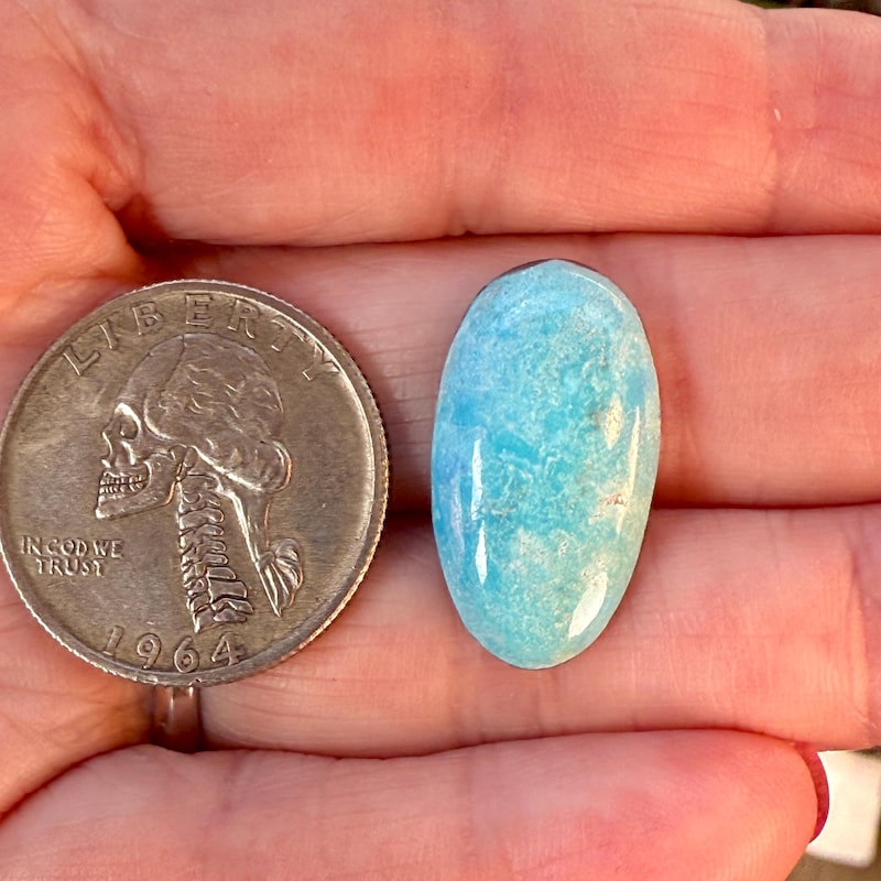 Fox Turquoise - Etsy