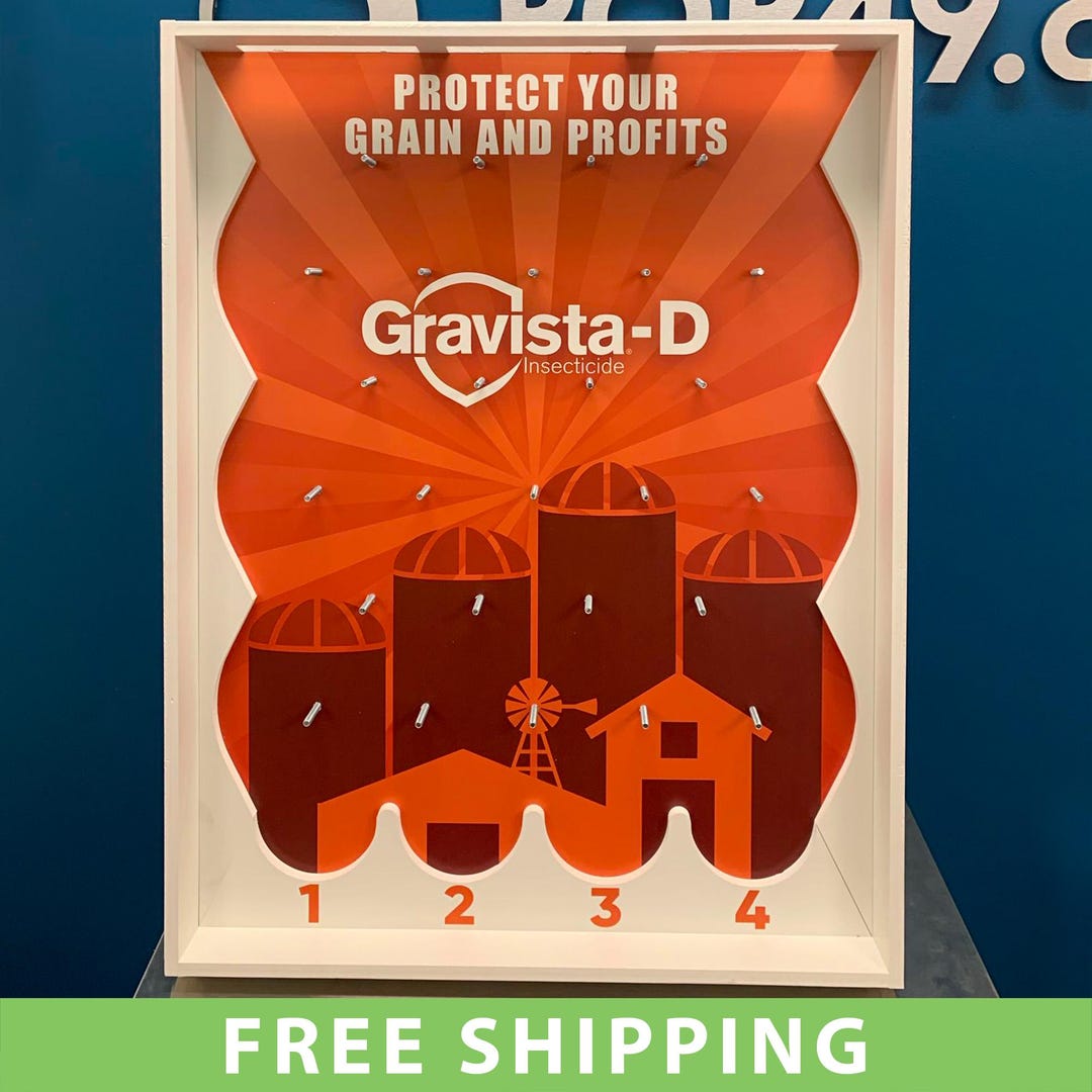 Custom Plinko Game Board, Personalized Prize Game, Handmade Plinko ...