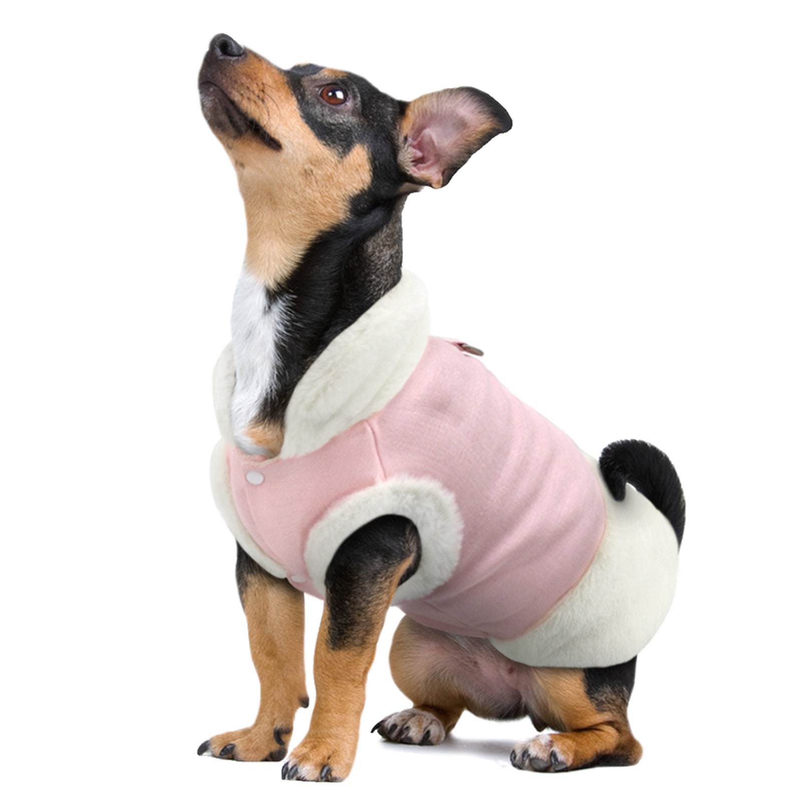 winter-warm-dog-pet-coat-clothes-for-small-dogs-puppy-vest-pet-etsy