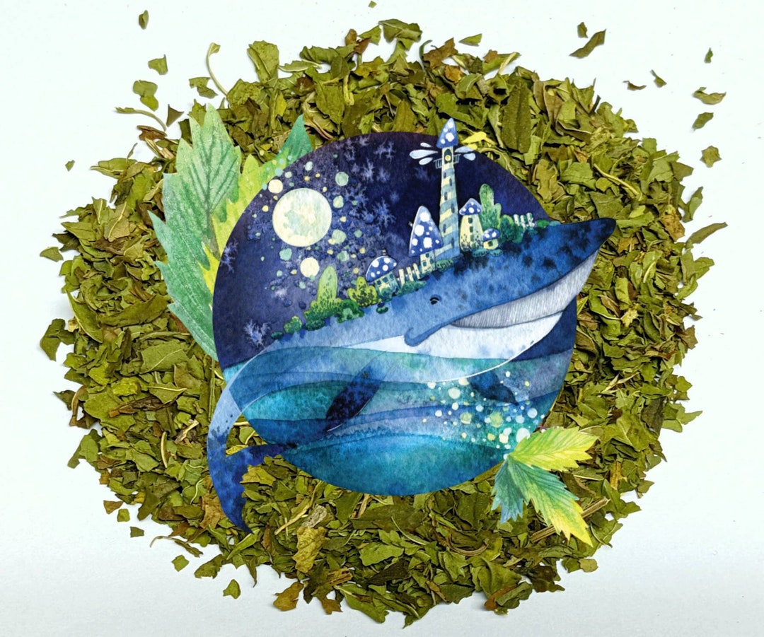 Pacific Coast Peppermint - Tea Bags - Etsy