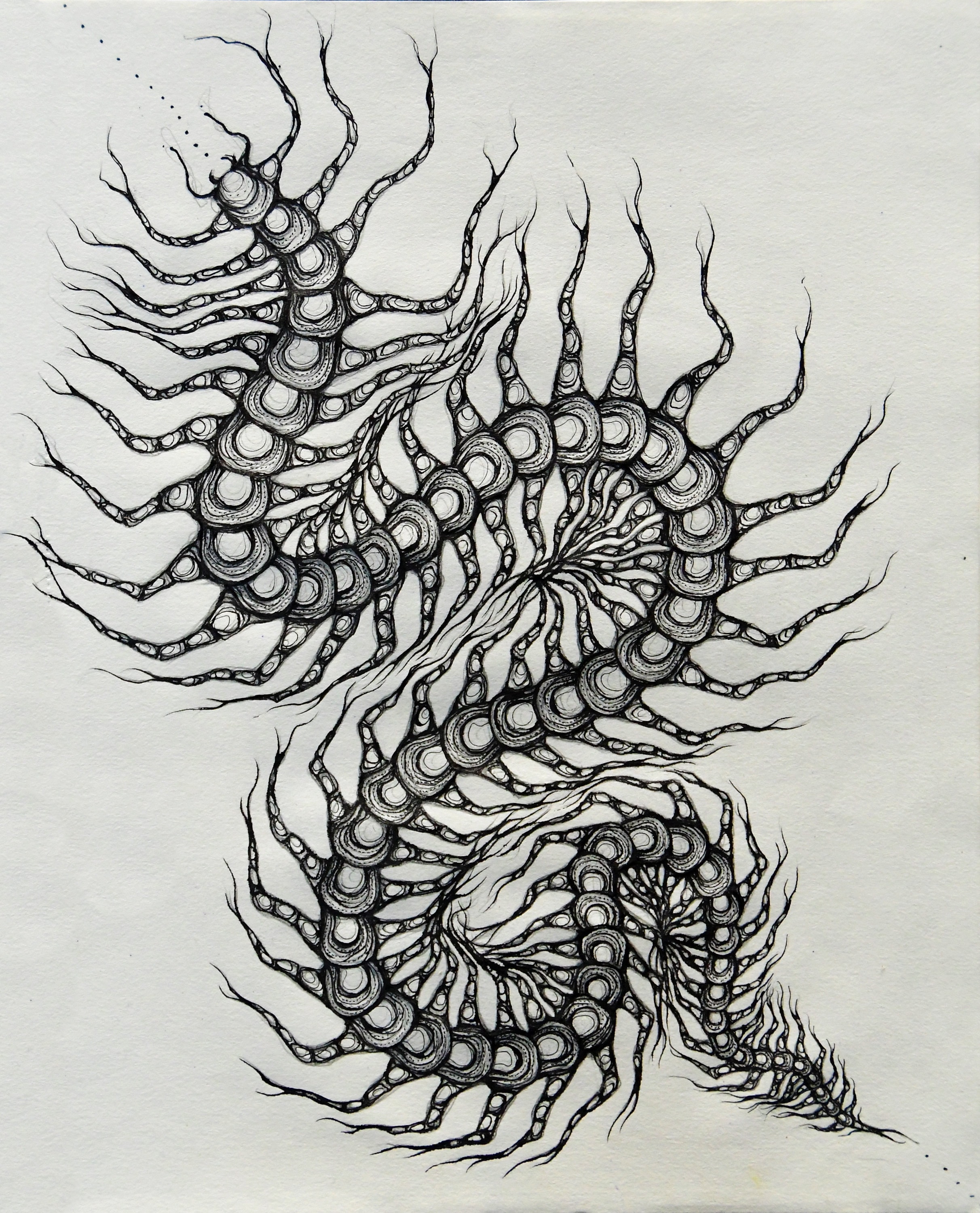Centipede Art