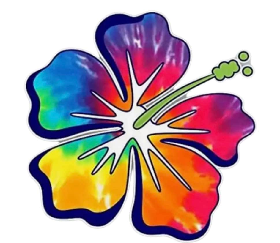 Hibiscus Tropical Flower Stickers Decal for Car, Hawaiian Flower ...