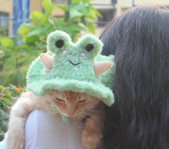 Cats With Frog Hats