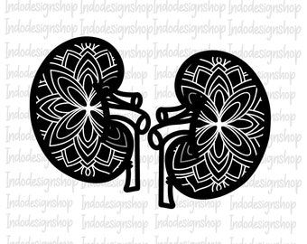 Kidneys Mandala Svg - Etsy