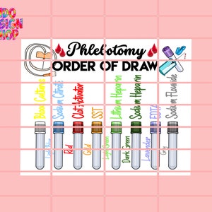 Phlebotomy Order of Draw Tumbler Design, Phlebotomist 20 Oz Skinny ...