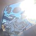 Fits 2021-2024 Ford Bronco Sport Skeleton With Roses 3rd Quarter Window ...