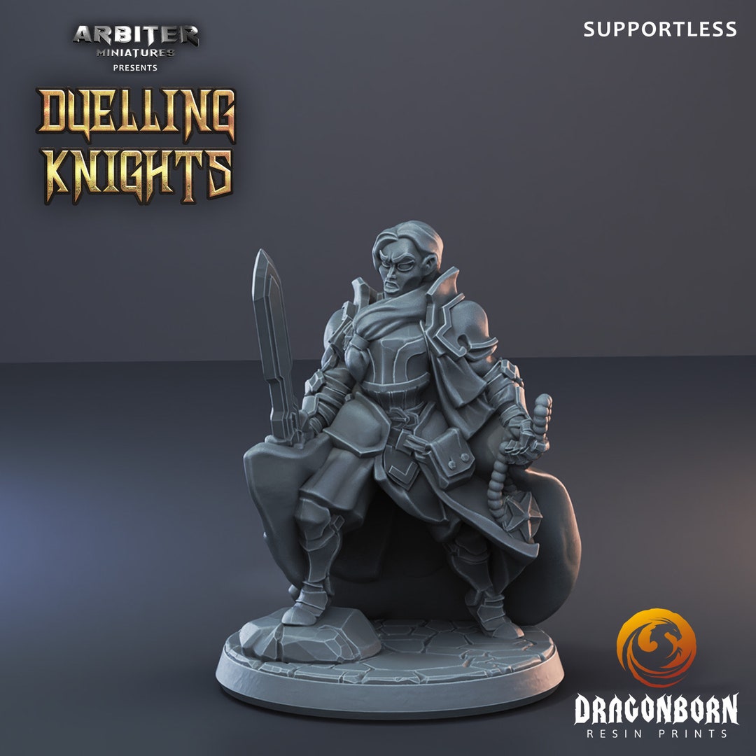 Female Knight 3 - Duelling Knights - D&D - 9th Age - Kings of War ...