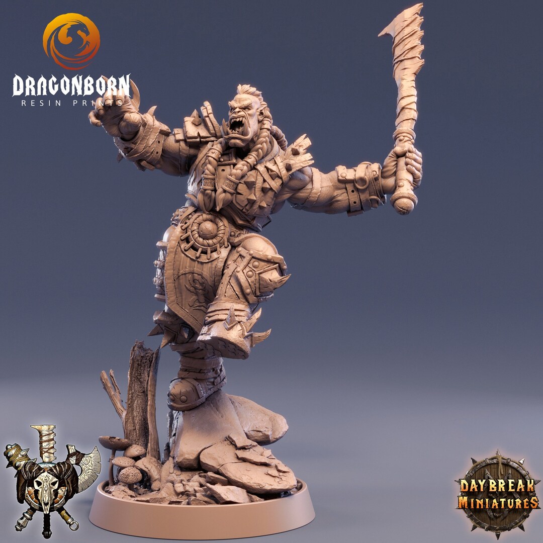 Helgor Haim - D&D - Warrior - 9th Age - Kings of War - Tabletop - Dnd ...