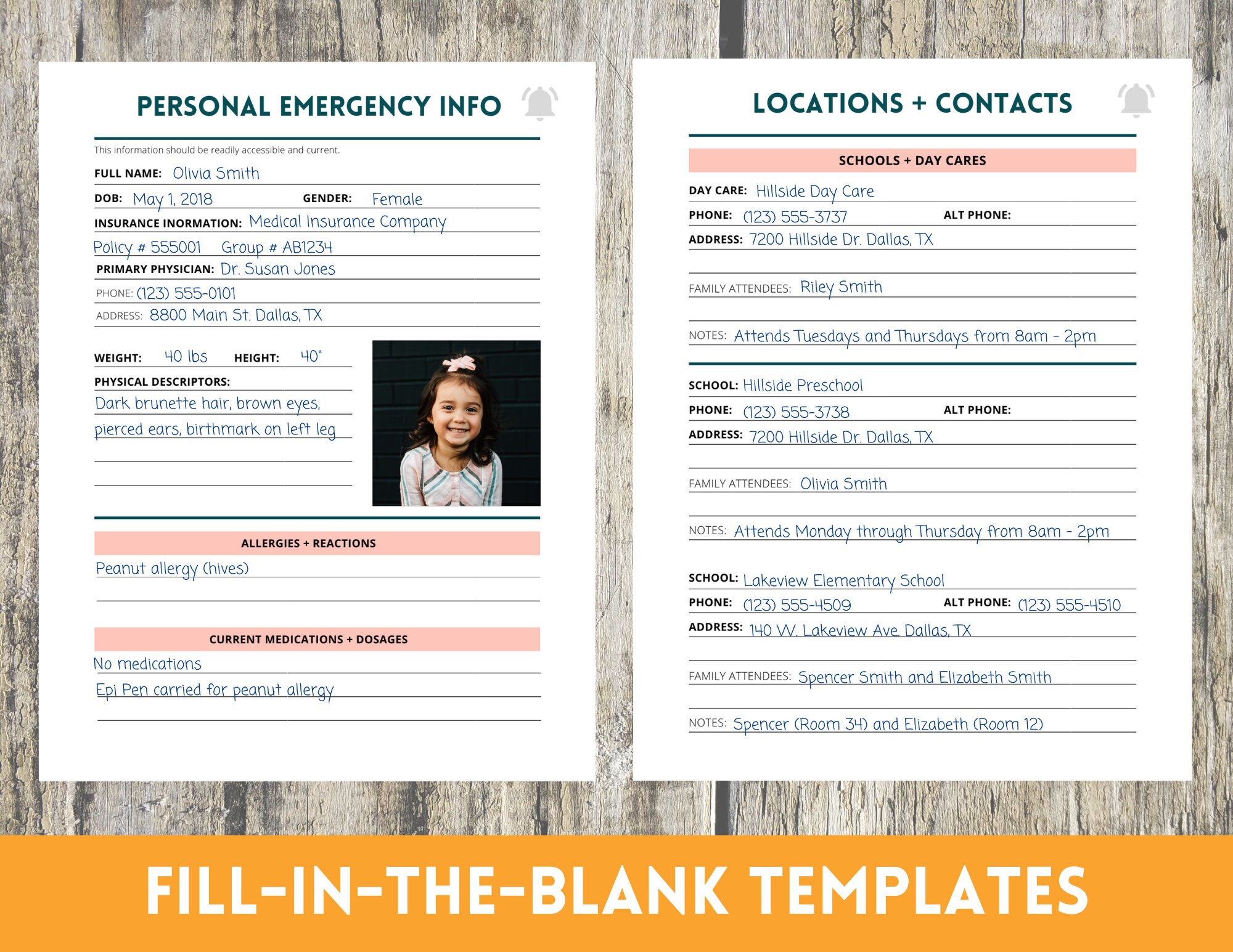 The Handy Emergency Binder -- Family Emergency Preparedness PDF ...