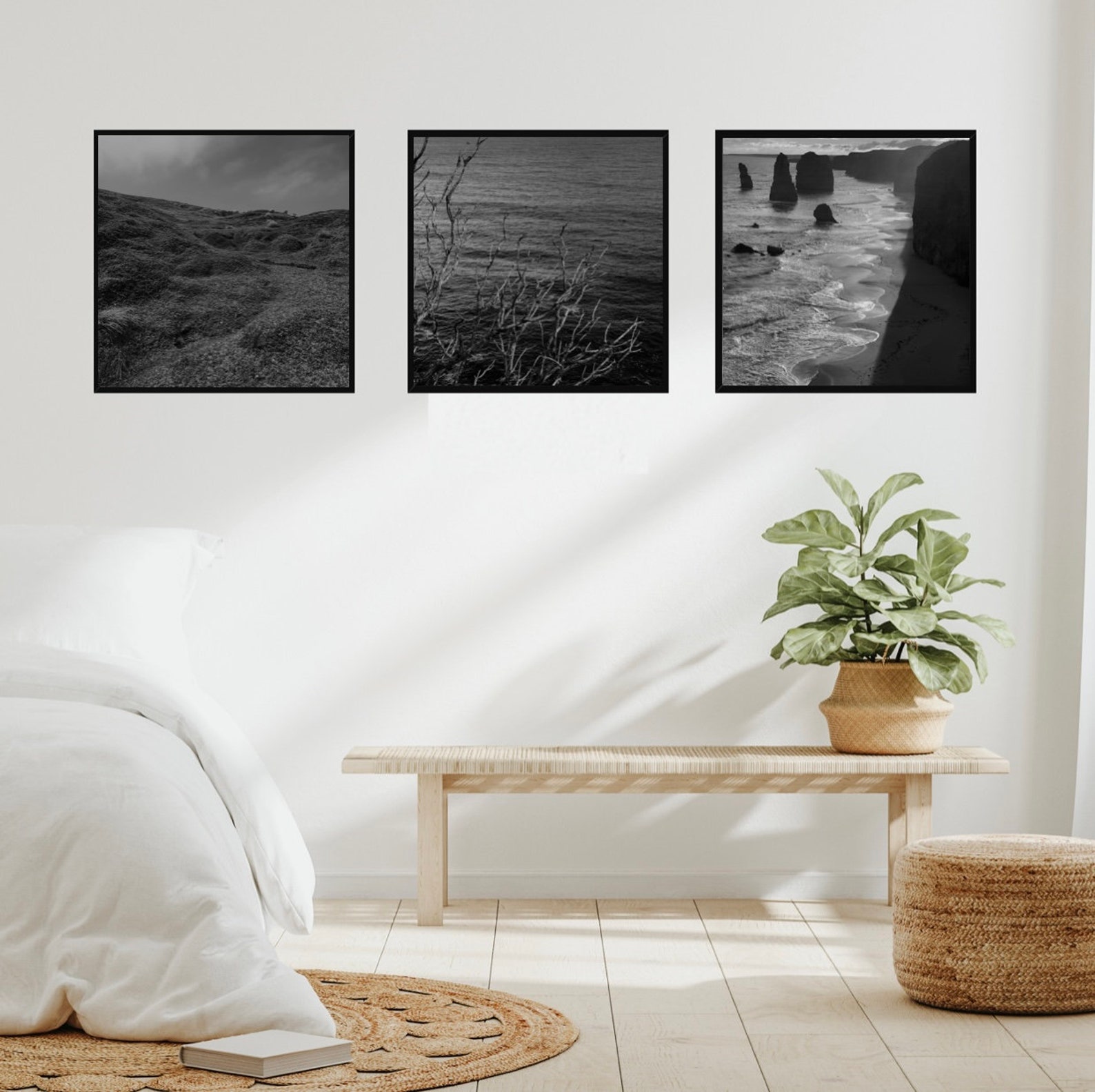 Square Photo Prints Black and White Nature Photography, 3 Piece Wall ...