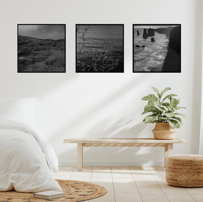 Square Photo Prints Black and White Nature Photography, 3 Piece Wall ...