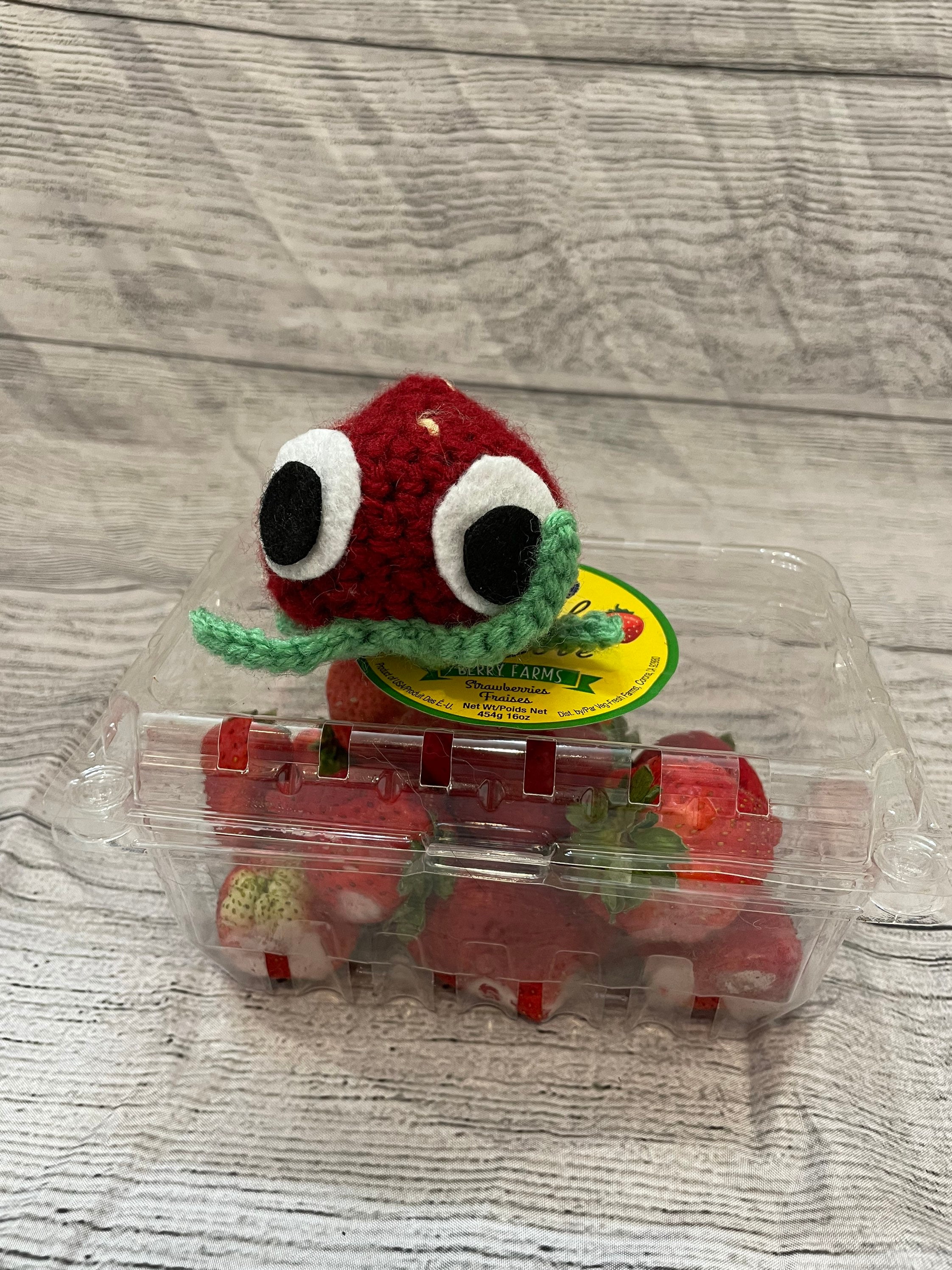 Bugsnax Strabby Crochet Plush | Etsy