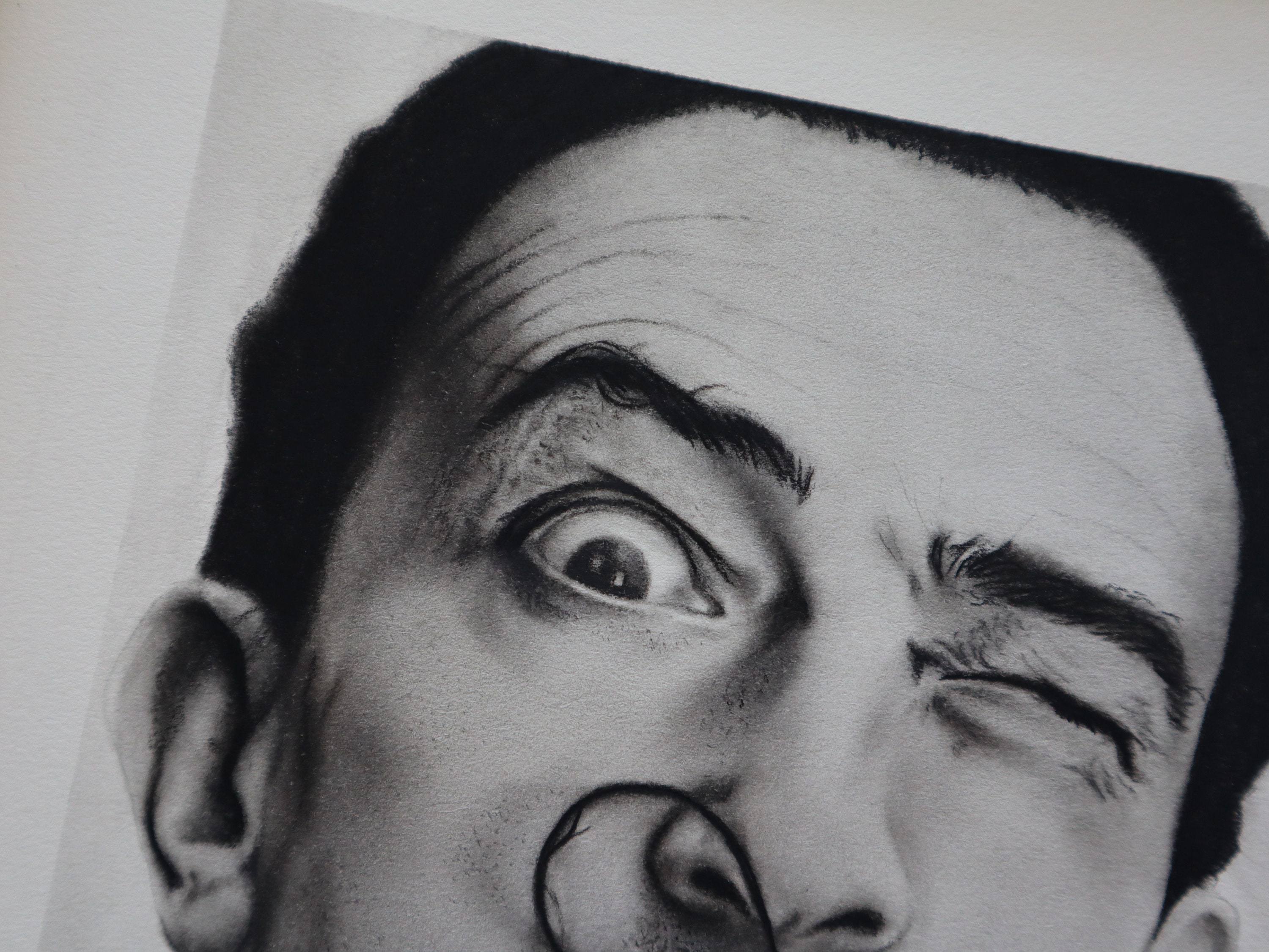 Salvador Dali Original Charcoal Drawing, Hyper-realism, Fine Art ...