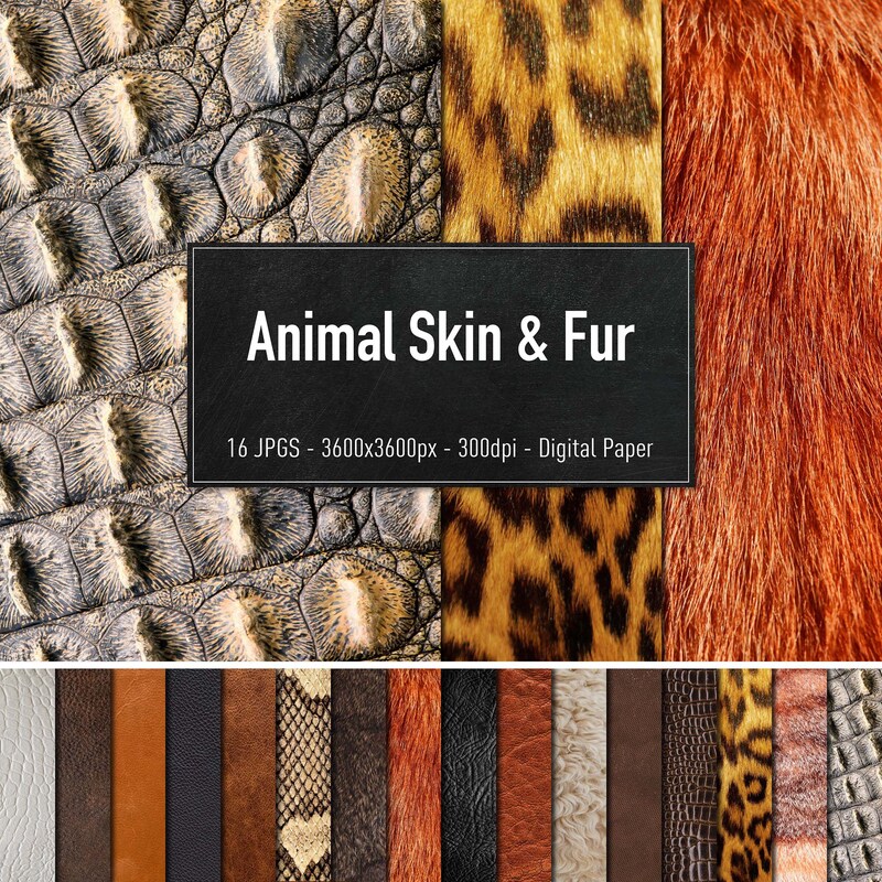 Real Animal Skin - Etsy