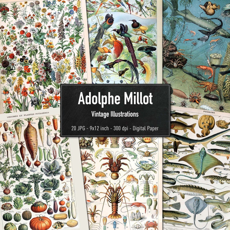 Adolphe Millot - Etsy