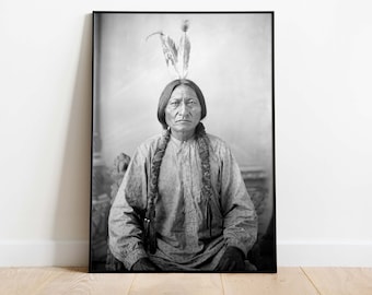Sitting Bull Portrait 1881 Print Poster - Etsy