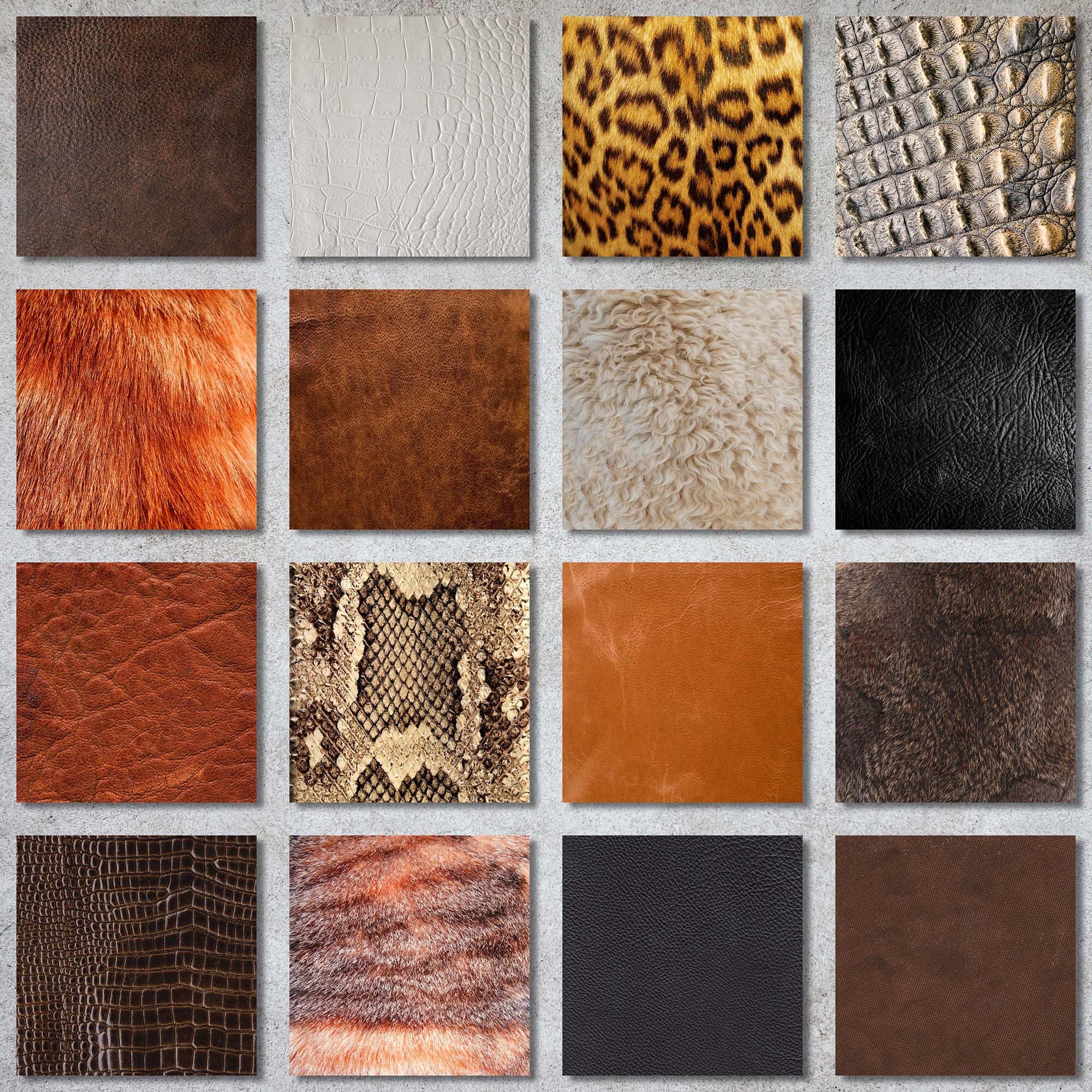 Animal Skin & Fur, 16 Different Real Images, Digital Paper, Instant ...