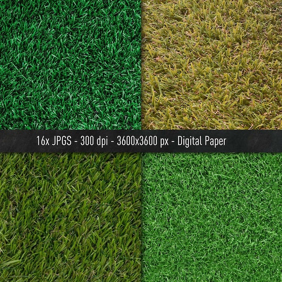 Paper That Looks Like Grass