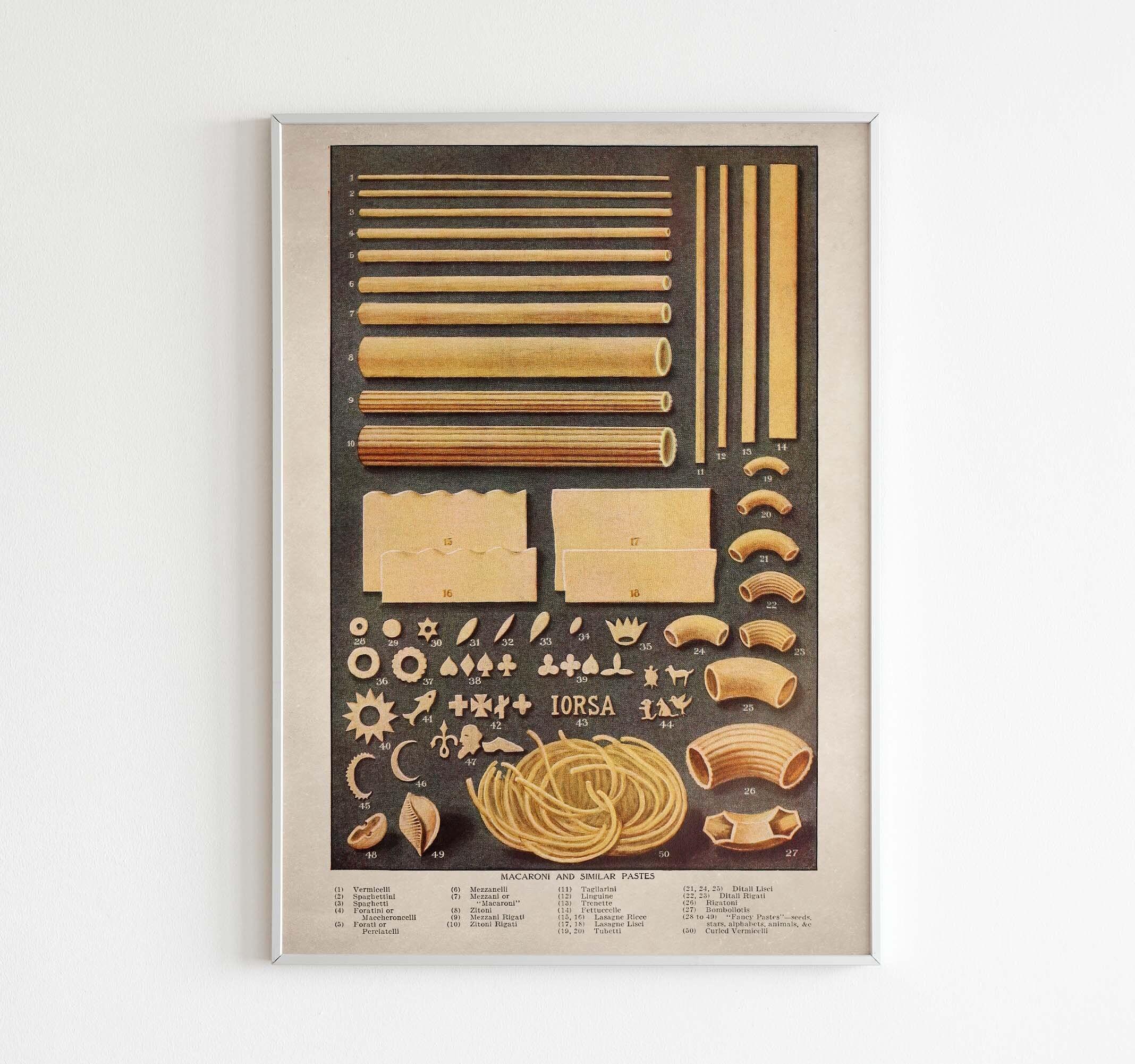 Macaroni Kitchen Poster Different Pasta Varieties From the - Etsy