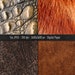Animal Skin & Fur, 16 Different Real Images, Digital Paper, Instant ...