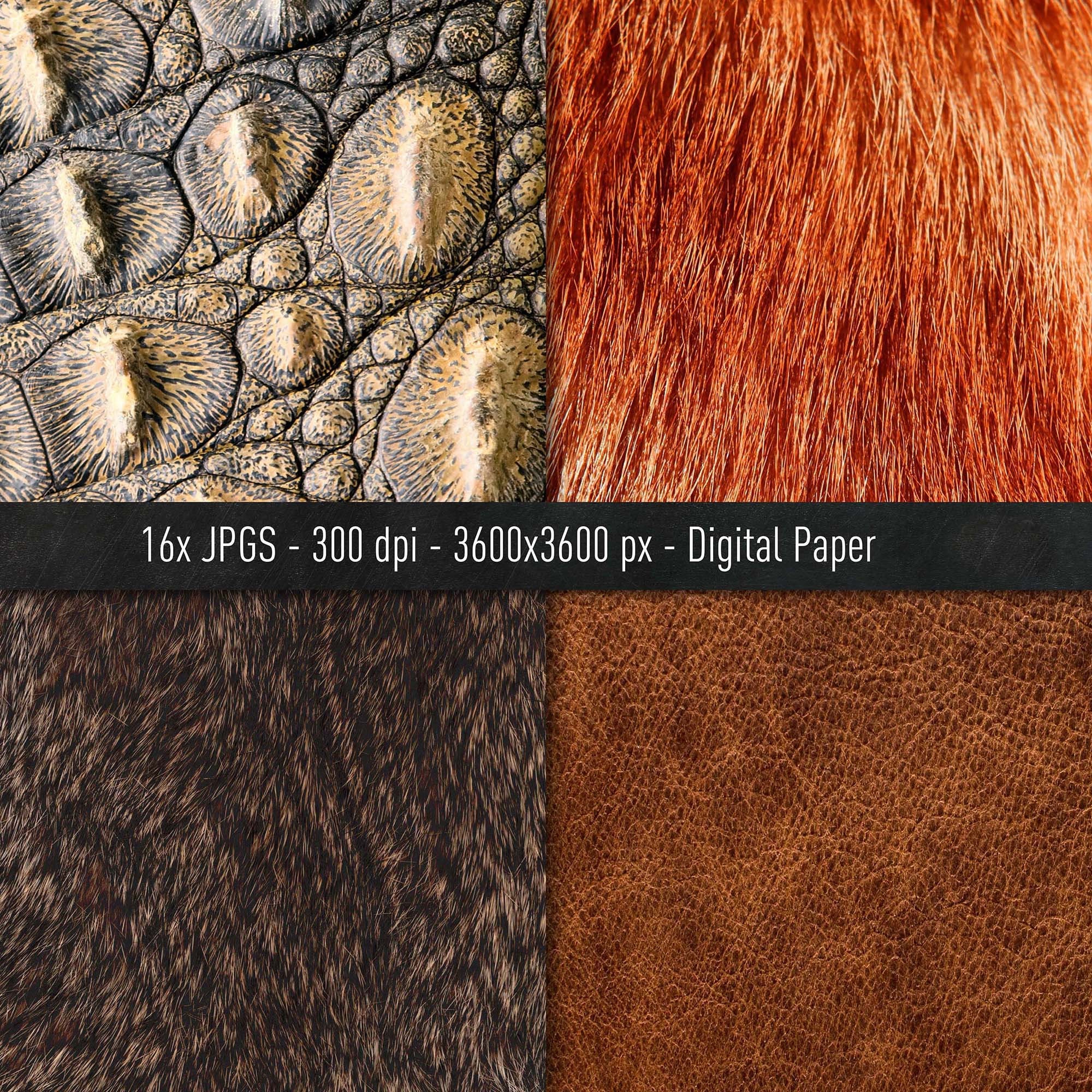 Animal Skin & Fur 16 Different Real Images Digital Paper | Etsy
