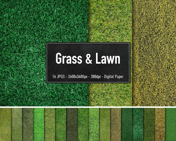 Paper That Looks Like Grass