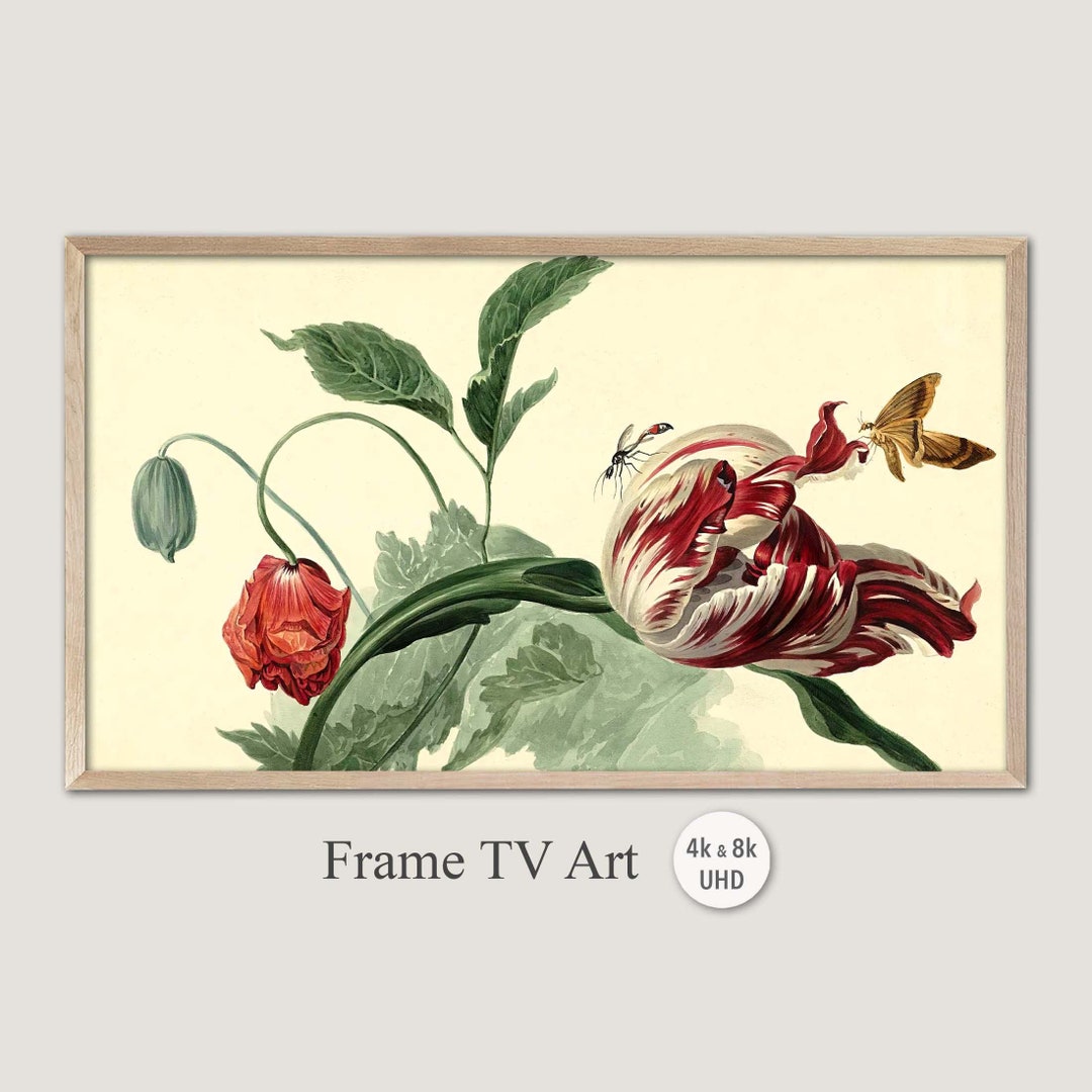 Samsung Frame TV Art, 4k & 8k UHD-2 Digital Wall Art, Willem Van Leen ...