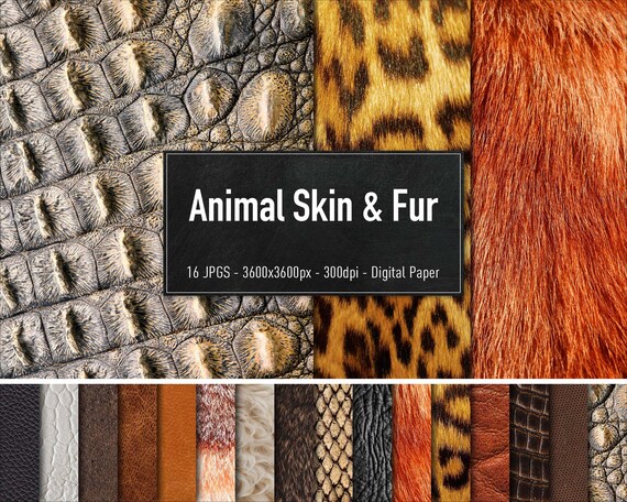 Animal Skin & Fur 16 Different Real Images Digital Paper | Etsy