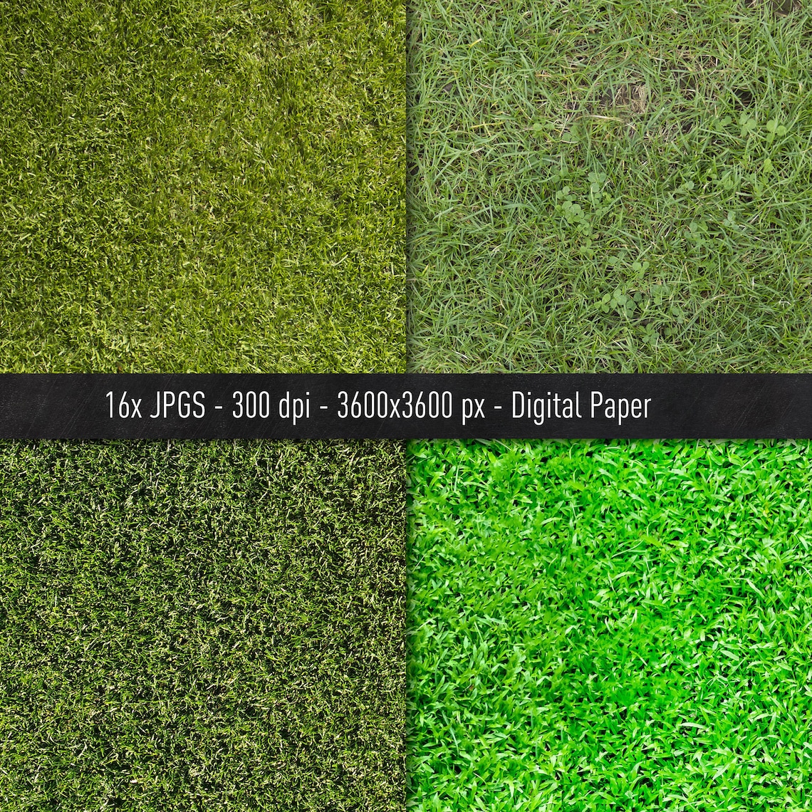 Grass & Lawn 16 Different Images Digital Paper Instant - Etsy