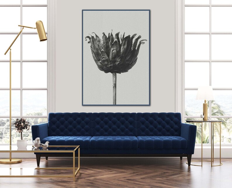 Karl Blossfeldt Poster Centaurea Ruthenica Urformen Der - Etsy