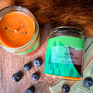 Sly Fox - Nick - Zootopia Inspired Soy Candle - Blueberry and Street ...