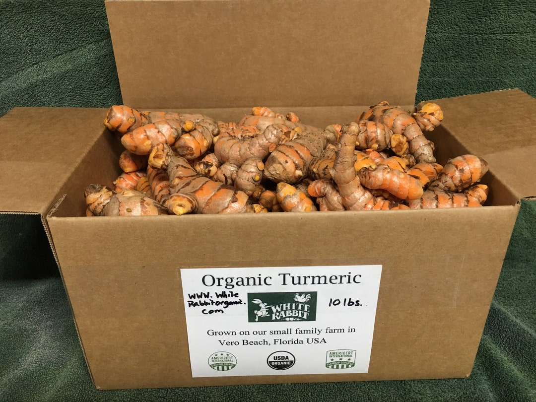 10 Lbs USDA Certified Organic Fresh Turmeric Root - Etsy