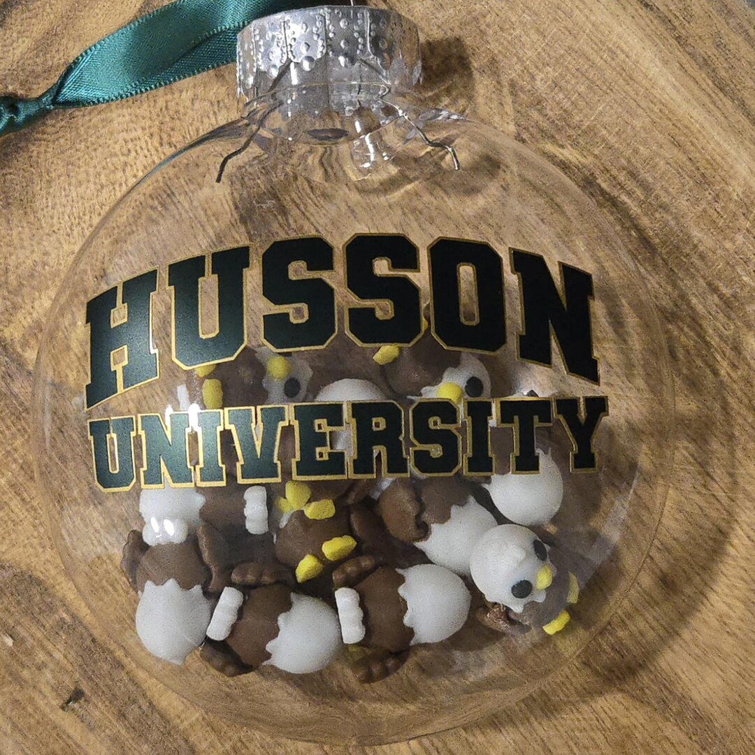 Husson University Ornament, Baldwin Eagle Mascot, Graduation Gift ...