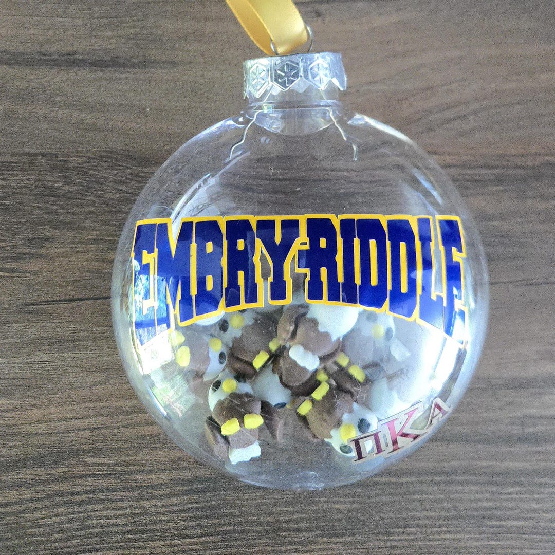 Embry Riddle Ornament, 3D Printed Mascot, College Gift - Etsy